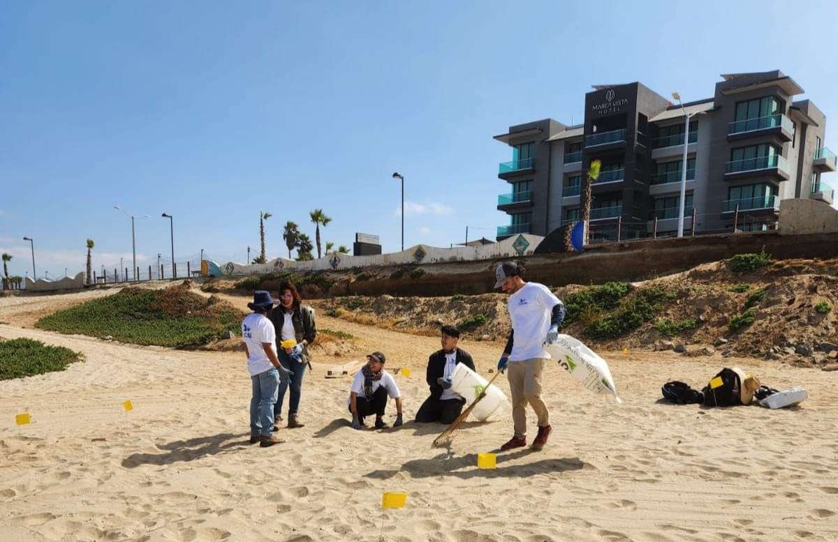 Realizan CICESE y Gobierno de Ensenada, muestreo de deshechos en playas ... Realizan CICESE y Gobierno de Ensenada, muestreo de deshechos en playas ...