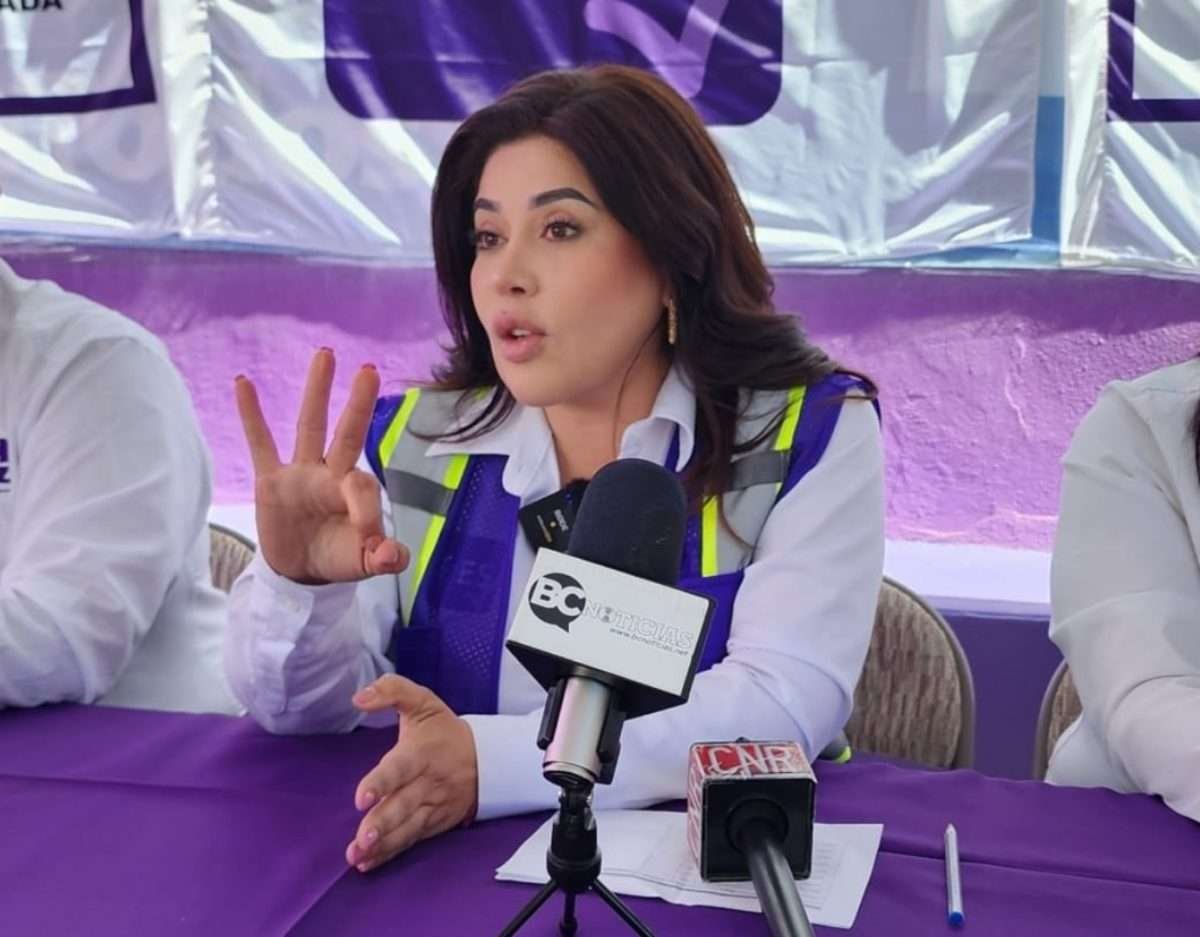 Participación ciudadana y movilidad, binomio exitoso: Edith Méndez | En ...